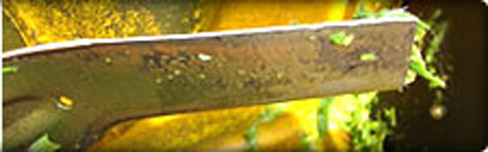 Super Slick Slick Stuff | Protexall Products, Inc.